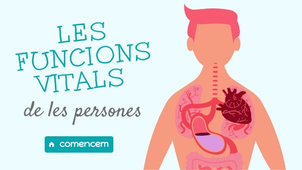 LES FUNCIONS VITALS | Genially