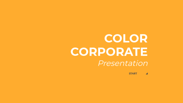 COLOR CORP PRESENTATION