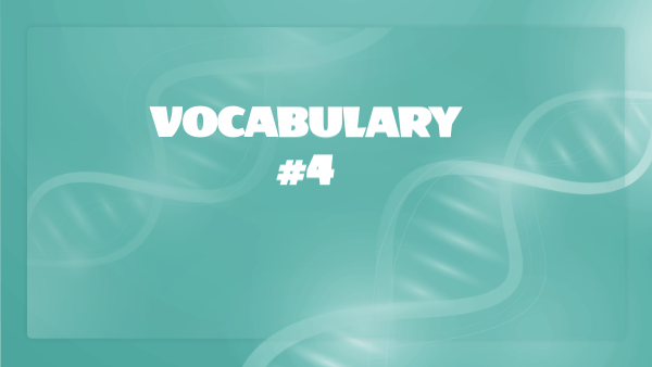 Vocabulary #4 | Genially