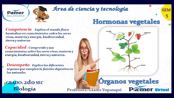 2DO - SEM5 | Genially