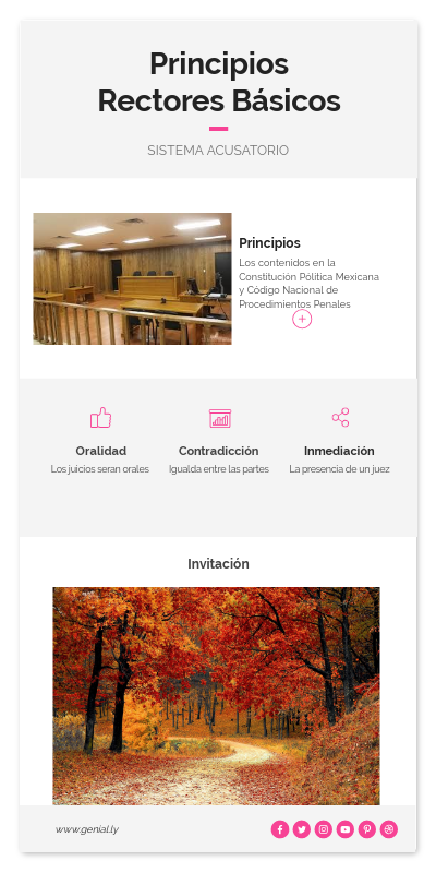 Principios Rectores del Sistema Acusatorio | Genially
