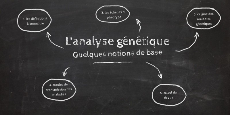 analyse génétique | Genially