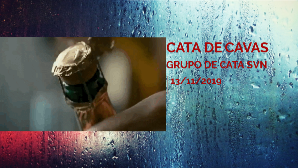 Cata de Cavas SVN 13/11/2019