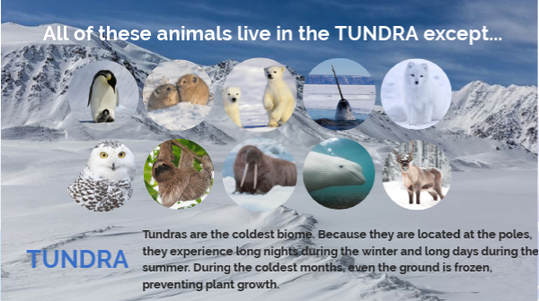 Biome Animal Match | Genially