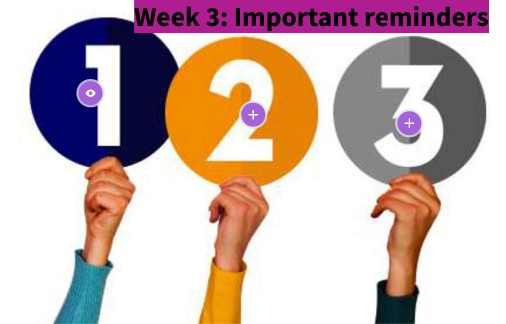 Week 3
