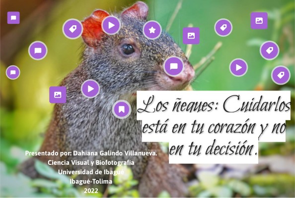 Cuidar a los ñeques está en tu corazón y no en tu decisión. | Genially