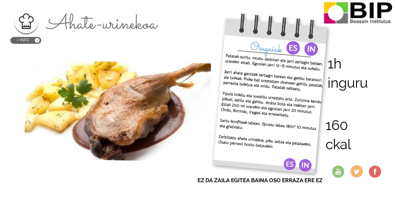 Ahate urinekoaren errezeta | Genially