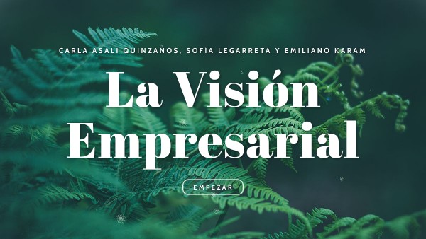 La Visión Empresarial
