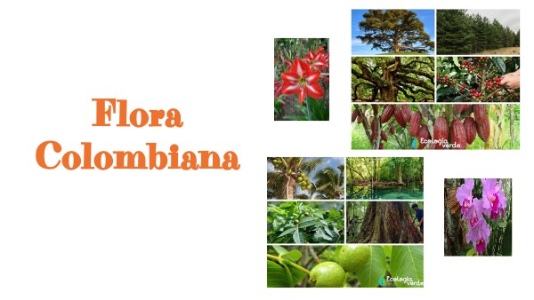 FLORA COLOMBIA | Genially