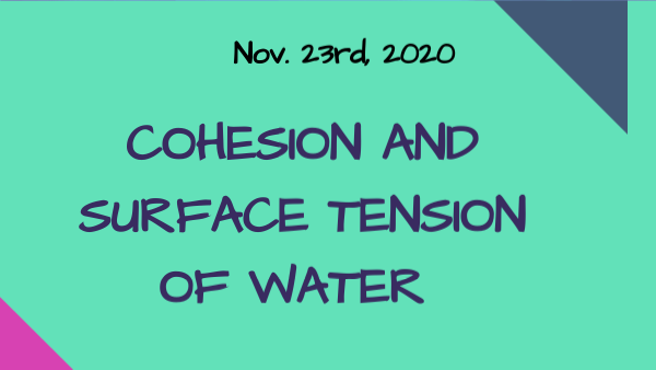 Cohesion and surface tension of water | Genially