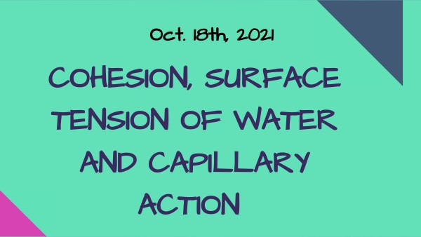 Cohesion and surface tension of water copia
