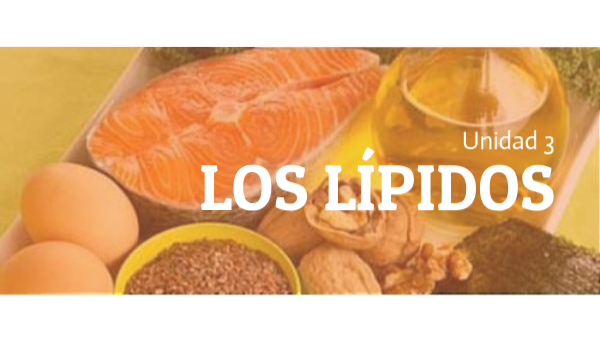 Unidad 3 - Los Lípidos | Genially