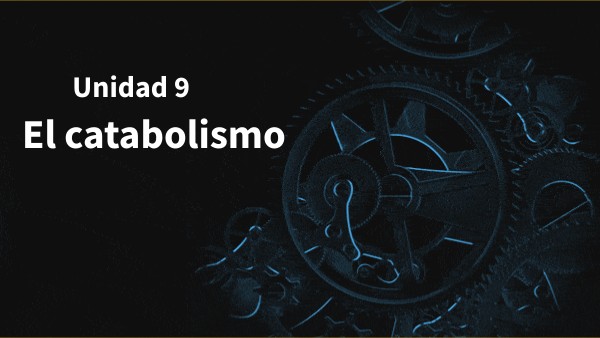 Unidad 10 - El Catabolismo | Genially