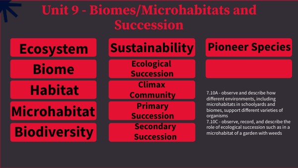 Unit 9 - Word Wall | Genially