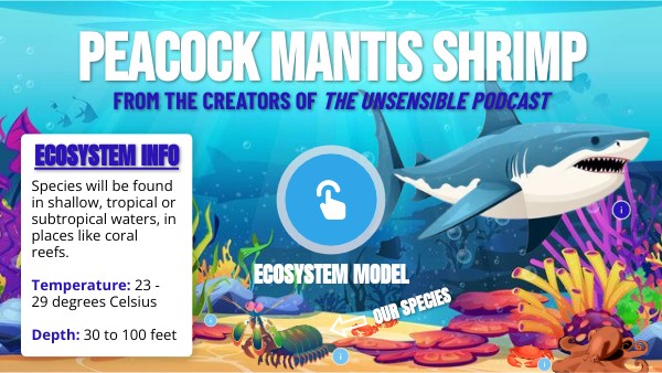 Peacock Mantis Shrimp | Genially