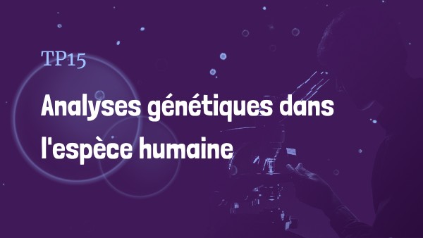 TP15 Analyses génétiques