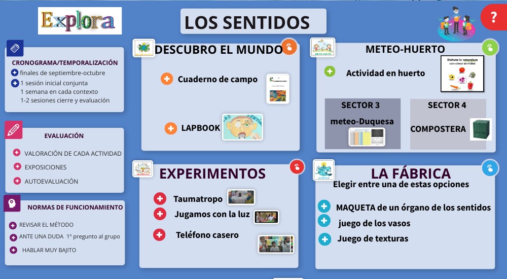 Unidad 1 LOS SENTIDOS