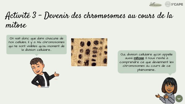 A4 - Devenir des chromosomes au cours de la mitose | Genially