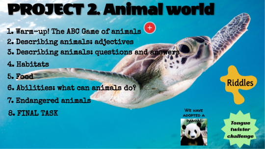 PROJECT 2. ANIMAL WORLD