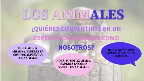 pRESENTACIÓN ANIMALES