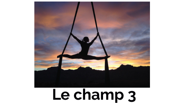 Champ3 copie | Genially