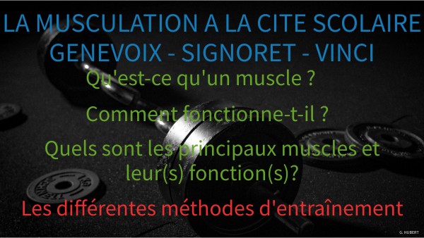 Muscu_cité_scolaire_GSV