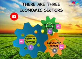 Three economic sectors