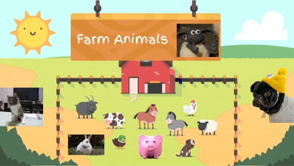 animals