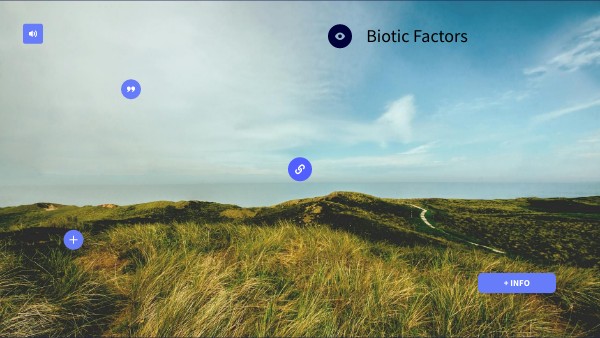 Essential Interactive Image | Genially