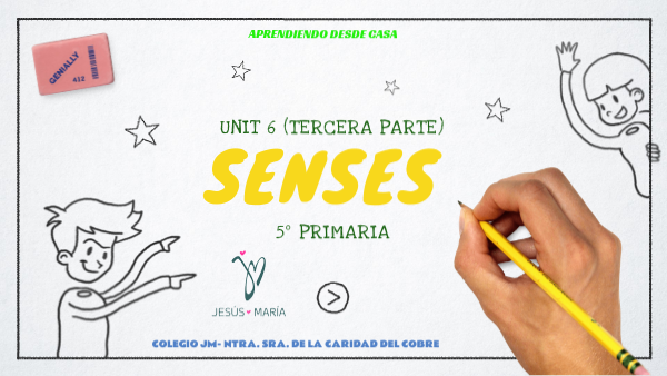 UNIT 6: SENSES (3rd part)