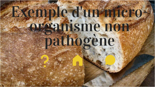 micro organisme non pathogène