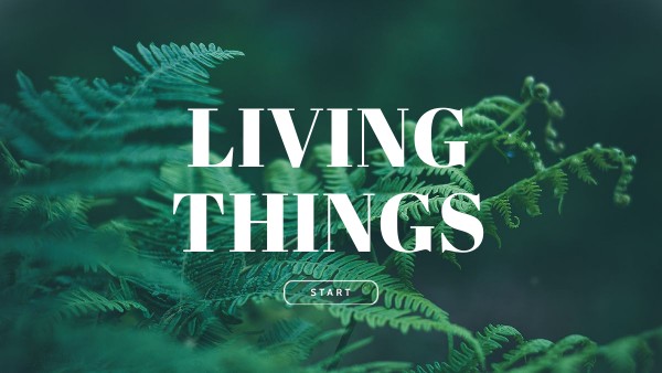 LIVING THINGS- YEAR1 | Genially