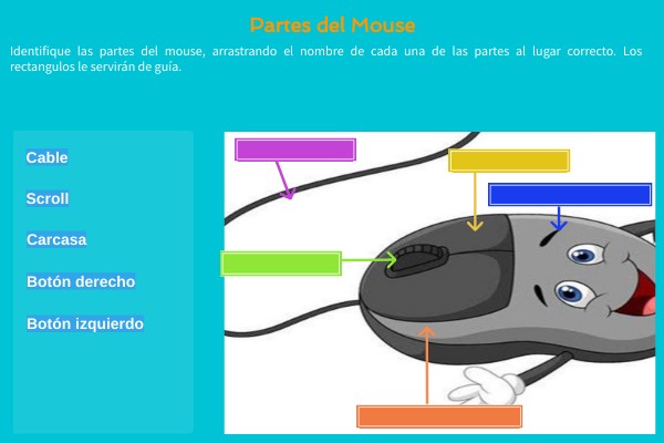 Partes del mouse | Genially