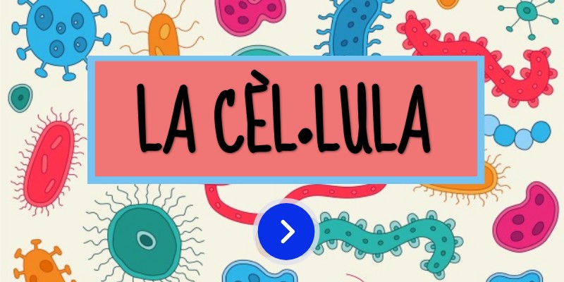 LA CÈL·LULA
