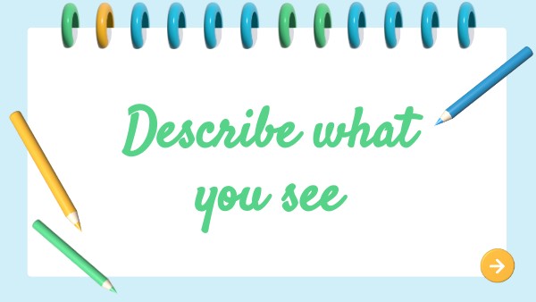 DESCRIBE WHAT YOU SEE