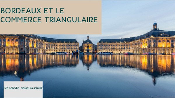 exposer commerce triangulaire