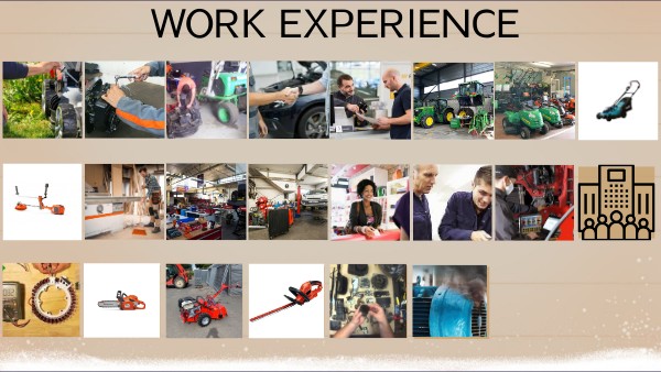 WORK EXPERIENCE MMEV AUDIO