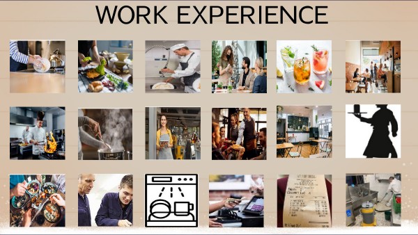 WORK EXPERIENCE PSR AUDIO