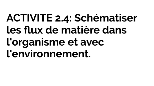 2nde schéma flux de matière | Genially