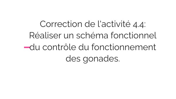Correction schéma fonctionnel contrôle des gonades