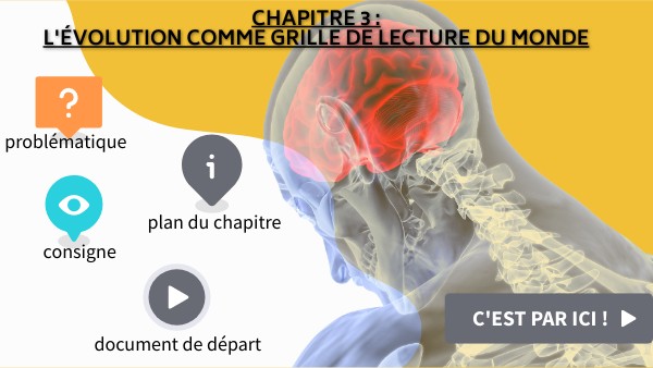 chapitre 3 évolution comme grille de lecture | Genially