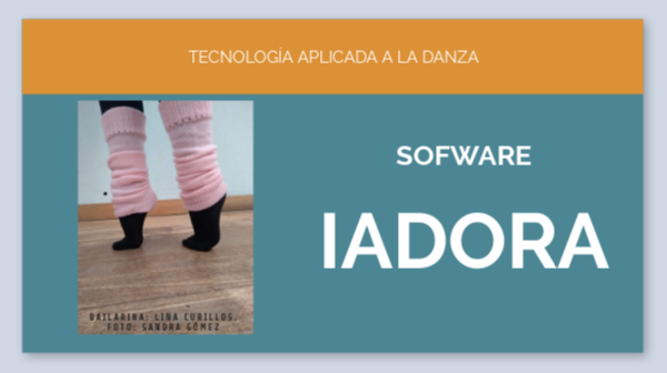 SOFTWARE ISADORA