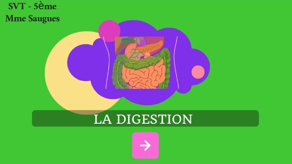 5é Digestion | Genially