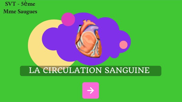 5é Circulation sanguine | Genially