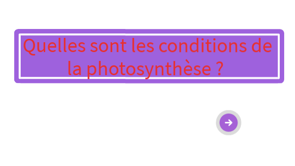 TP-Production de matière | Genially