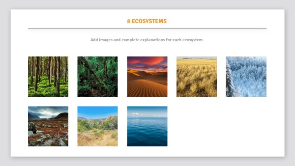 8 ECOSYSTEMS