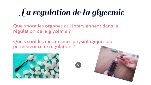 Régulation de la glycémie | Genially