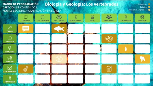 Matriz de programación | Genially