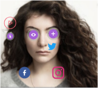 Lorde's facts about herself