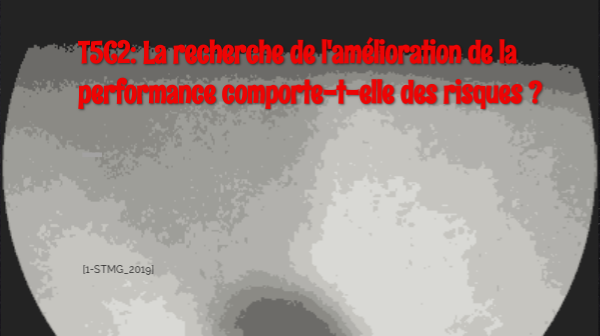 T4C2_risque | Genially